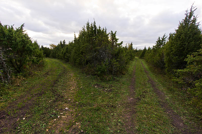 Uueõue puhkemaja majutus - Kesselaid